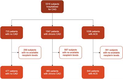 Frontiers | Anemia of Chronic Disease in Patients With Cardiovascular ... Frontiers | Anemia of Chronic Disease in Patients With Cardiovascular ...